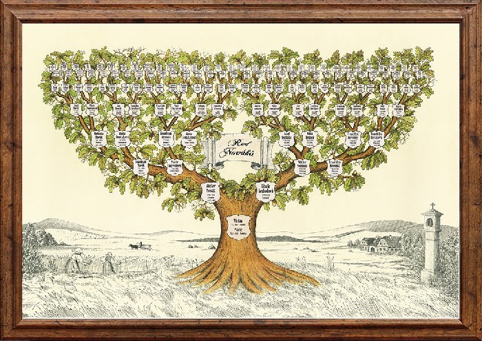 Kreslený strom rodokmenu